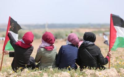 Pertanda Kemenangan, Lagi Kampanye Kucing Hampiri Helmi Hasan ...